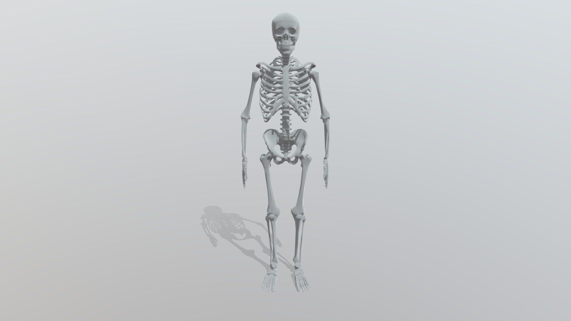 Skeleton_01 - Download Free 3D model by ImmaculatePoison [734e738 ...