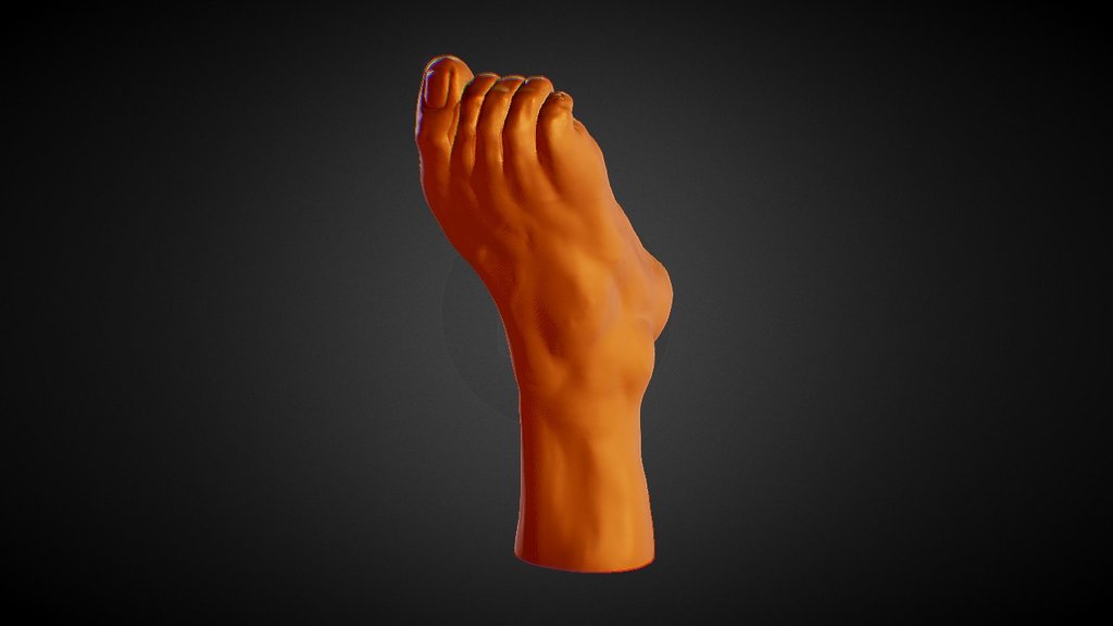 Foot (Day 17 SculptJanuary 2016) - Download Free 3D model by CG Boost ...