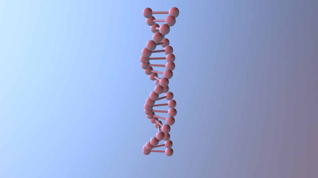 Loop ADN - 3D model by biotastudios [736075a] - Sketchfab