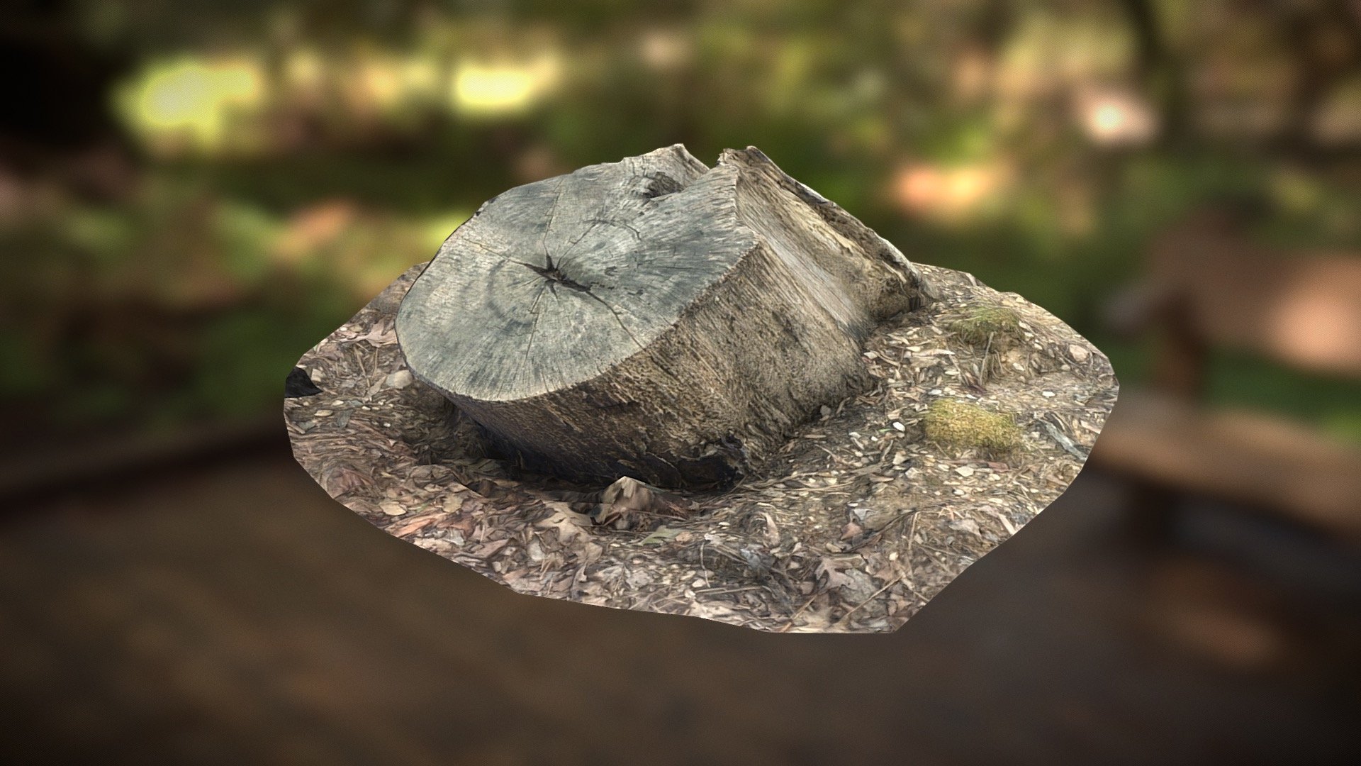 Photogrammetry Nature Shoot - Download Free 3D model by Matt Harris ...