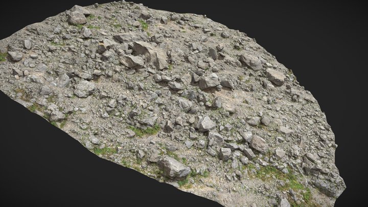 Grassland 3D models - Sketchfab