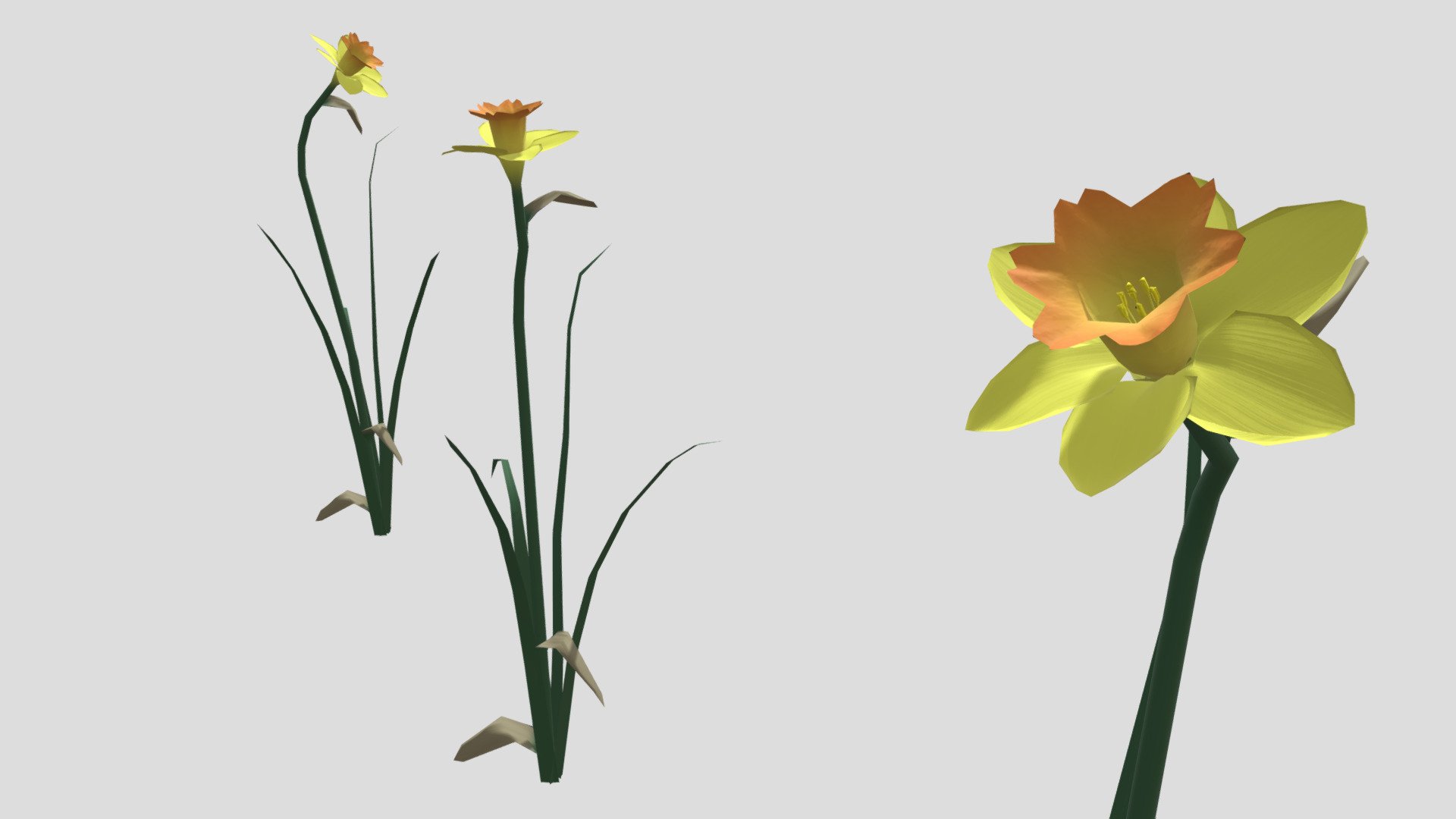 Daffodils - Download Free 3D model by Luis Vidal (@Luis_Vidal) [737212d ...