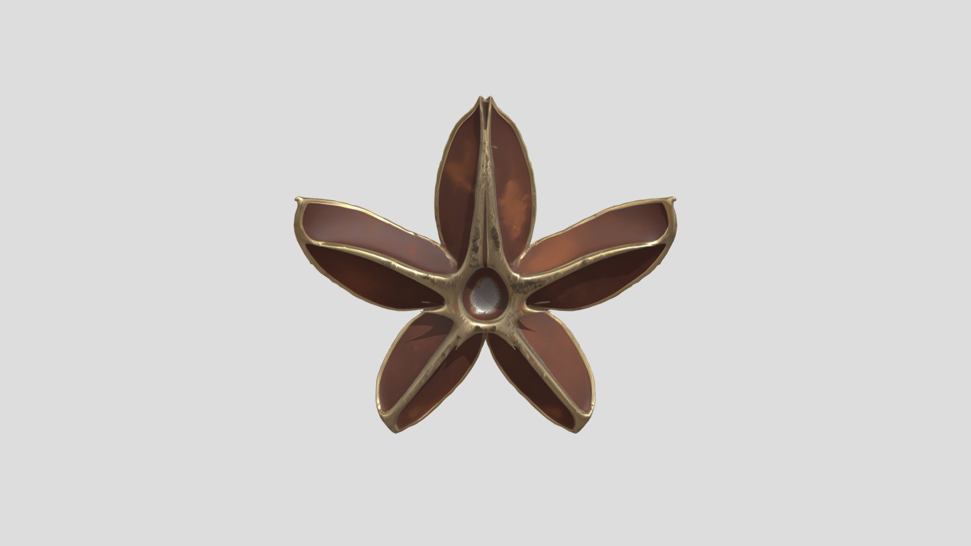 open starfruit-like seed pod - 3D model by Damco (@jondameron5 ...