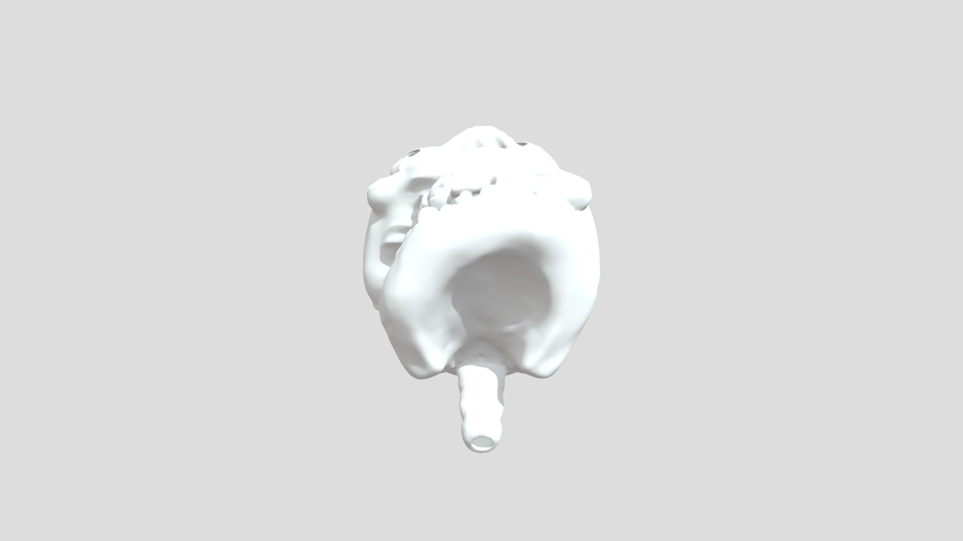 Scull - 3D model by bekandil [7382d0c] - Sketchfab