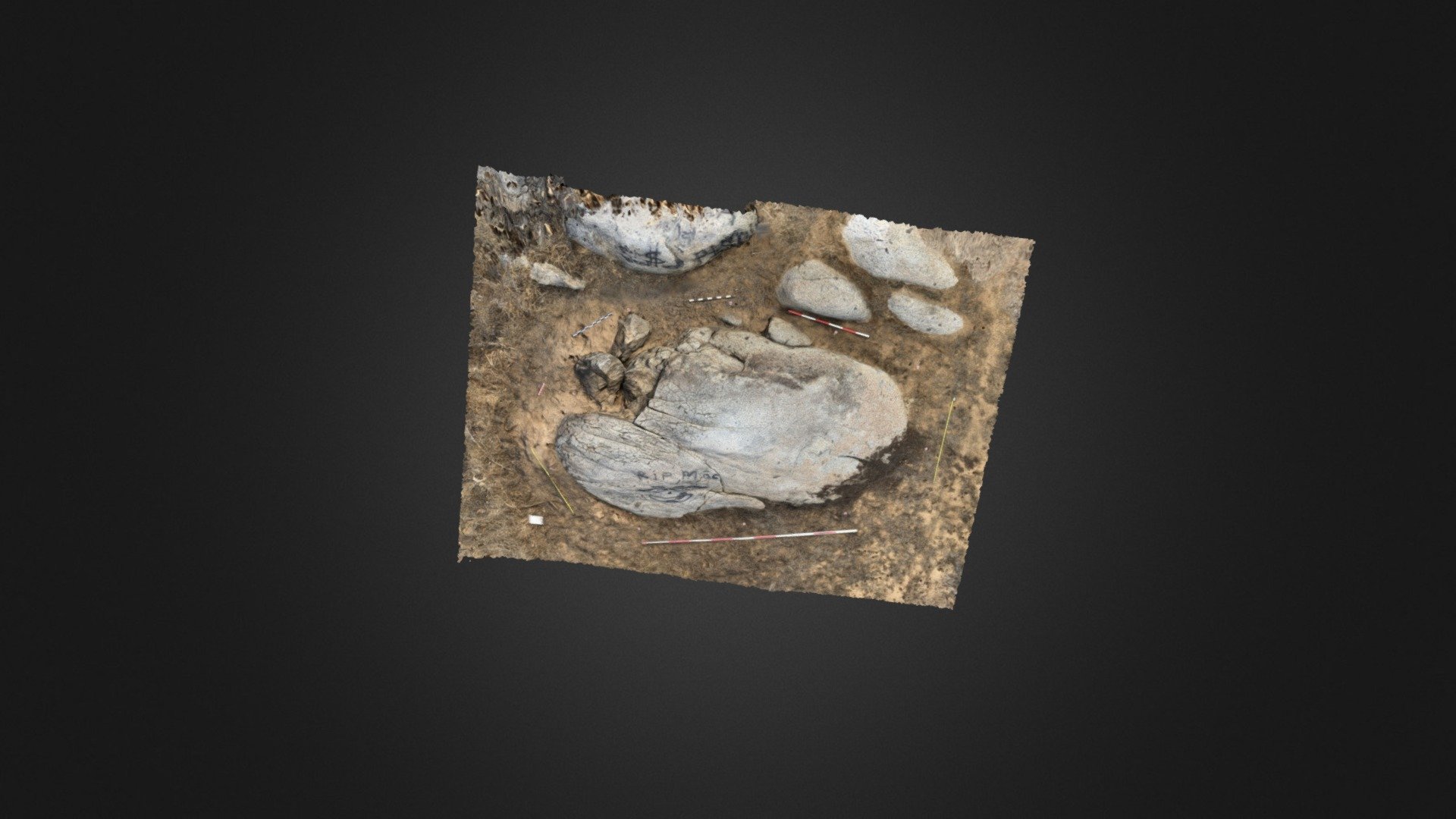 2489 F1 - 3D model by Applied EarthWorks (@appliedearthworks) [7383dca ...