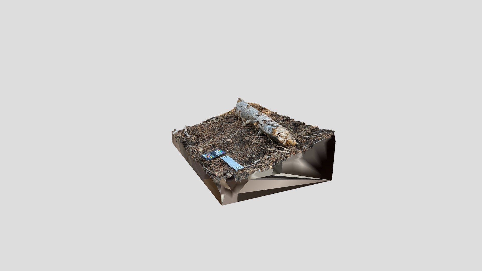 RS - Fallen Tree - Download Free 3D model by Tandy (@GabeTandy ...