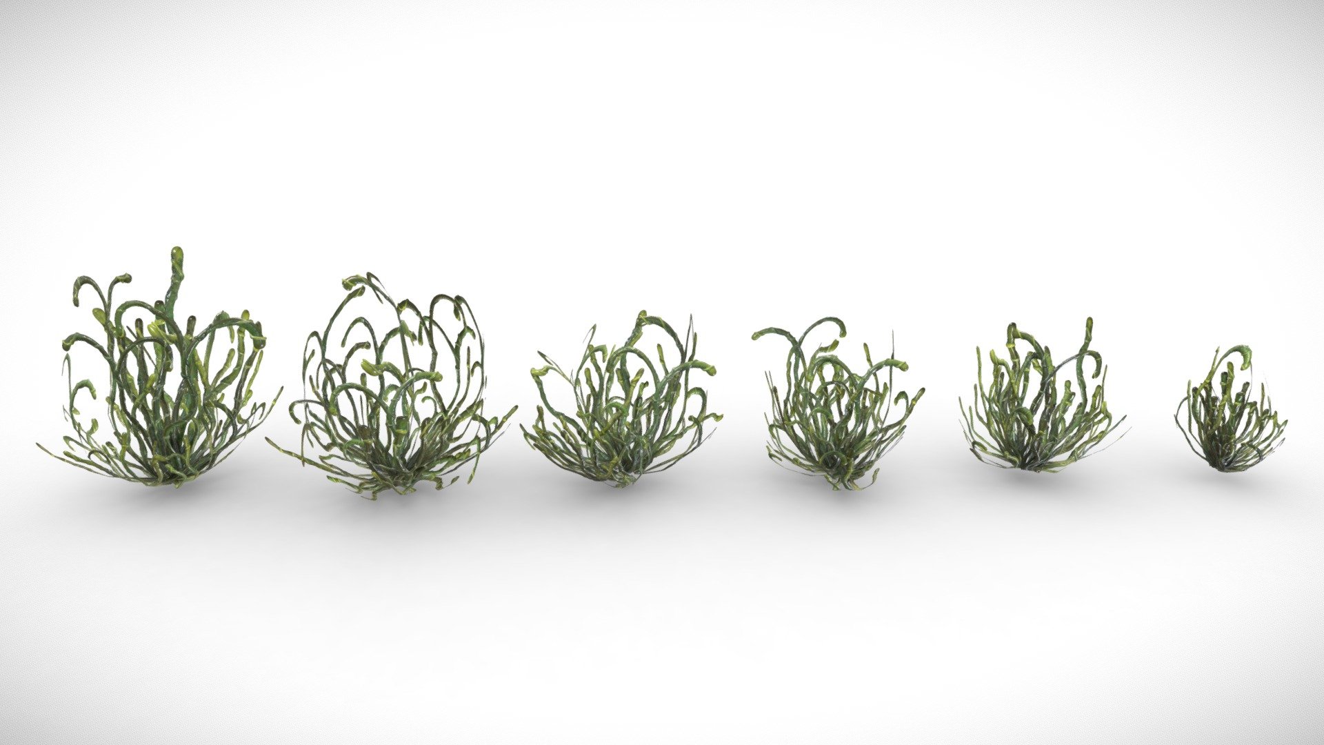 Alien Fantasy Plant - Dry Grass Bush - Buy Royalty Free 3D model by ...