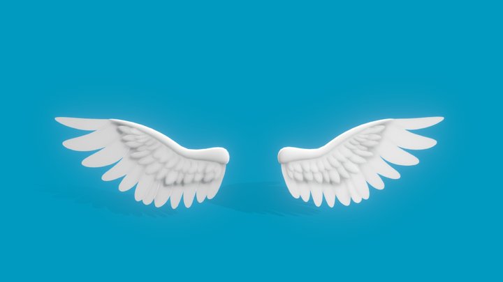 Feathers 3D models - Sketchfab