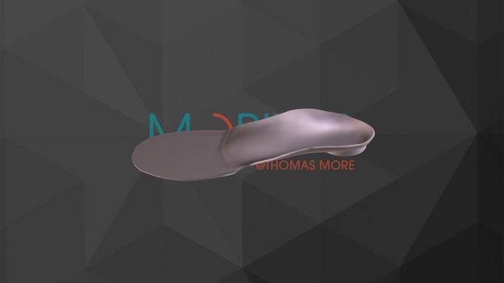 Orthotics 3D models - Sketchfab
