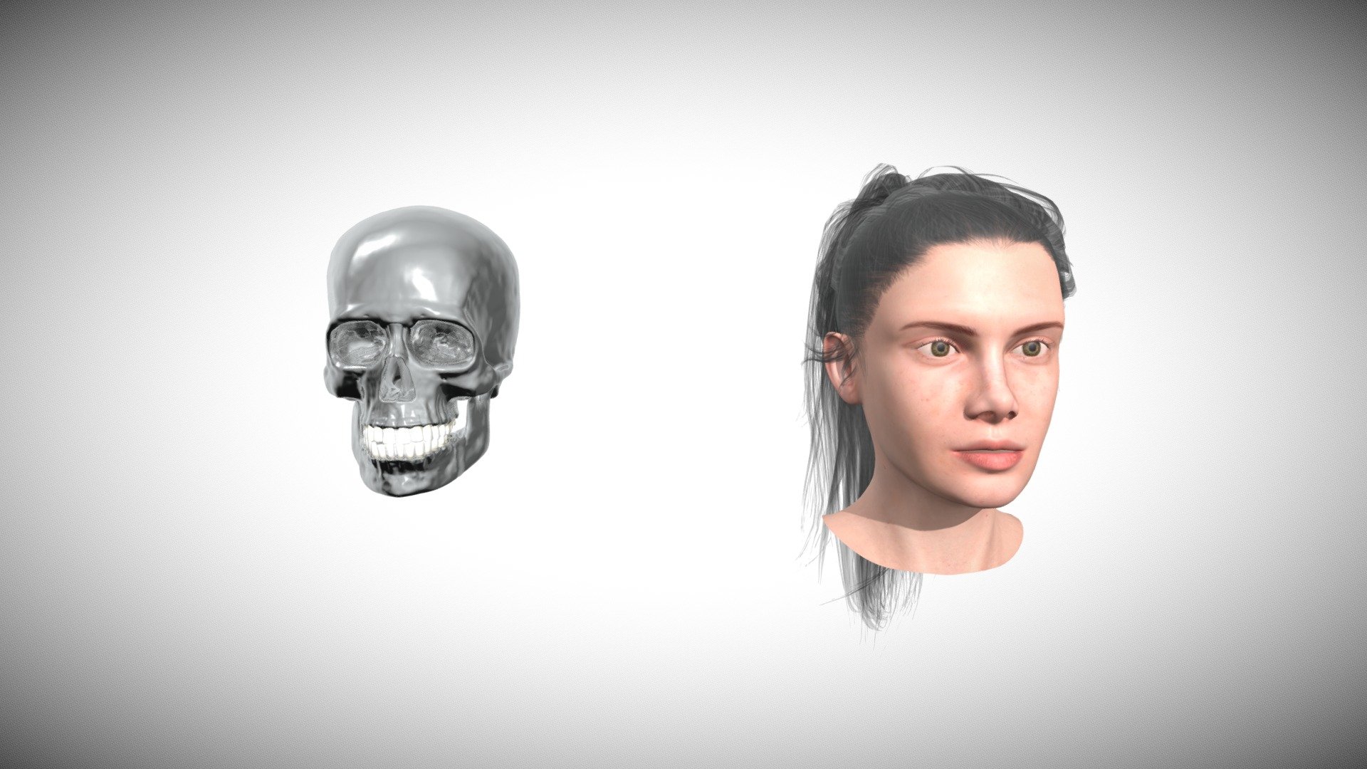 TEETH-EXPORT5 - 3D model by prytkov [7391566] - Sketchfab