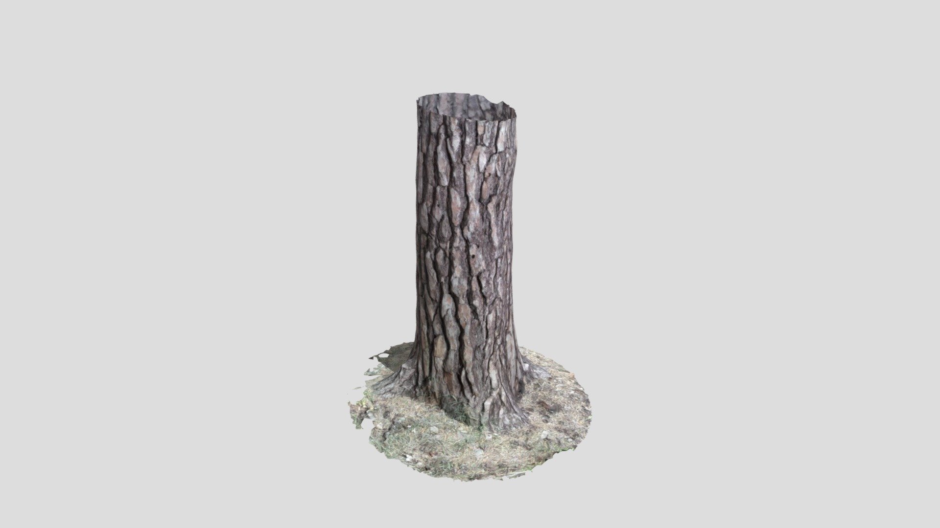 pine trunk (tree) - Download Free 3D model by UjORi (@nkn631) [7392669 ...