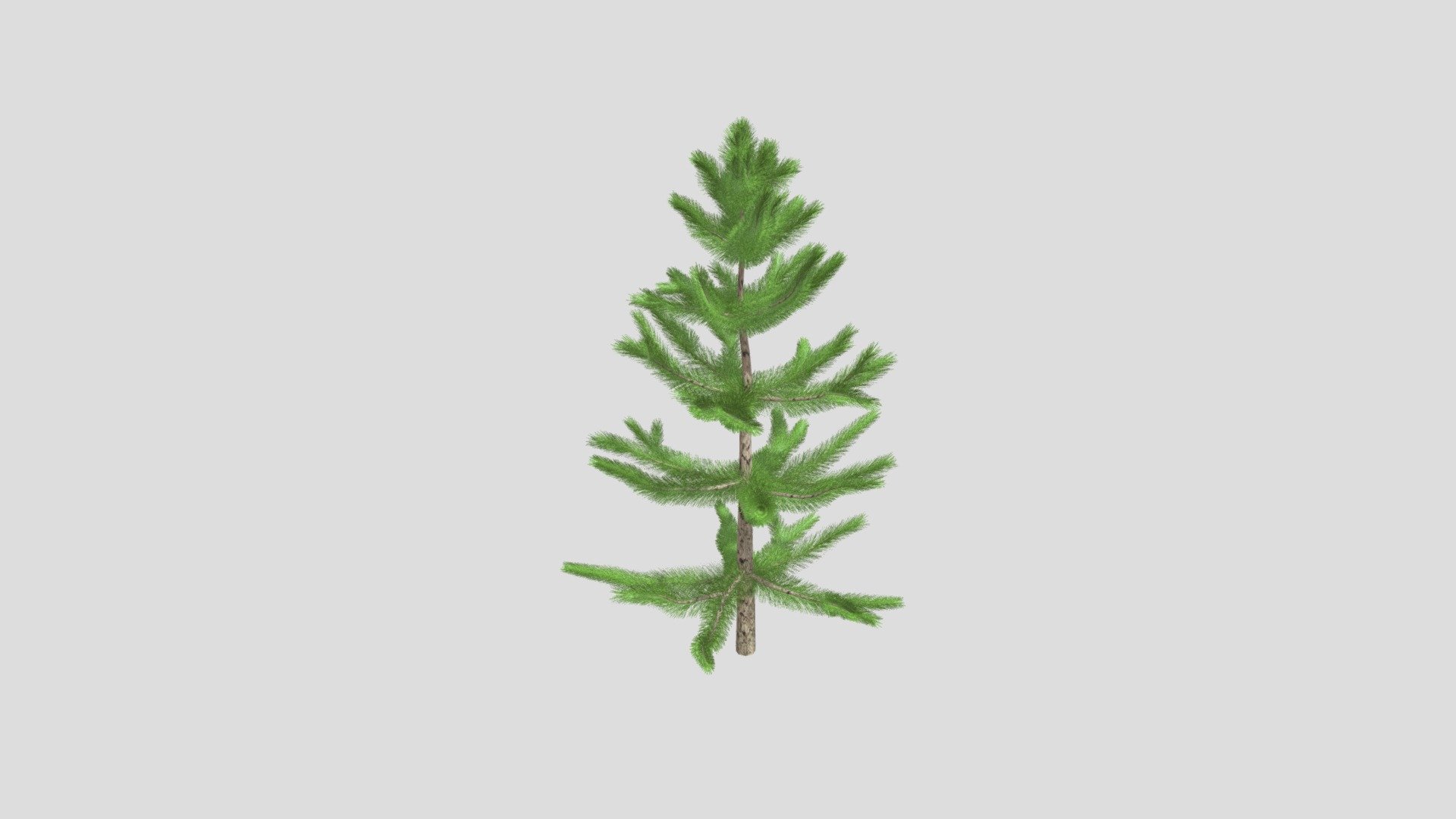 Pine tree - Download Free 3D model by five.starter.five [7396392 ...