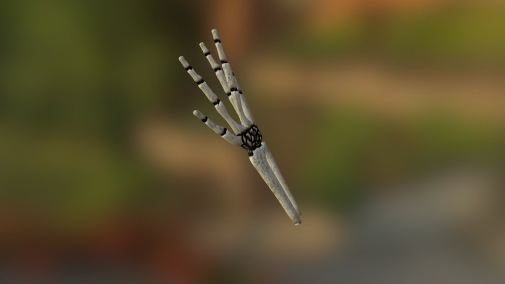 Mesh Hand 1 - 3D model by Marc-Antoine Bonneterre (@marc-antoine ...