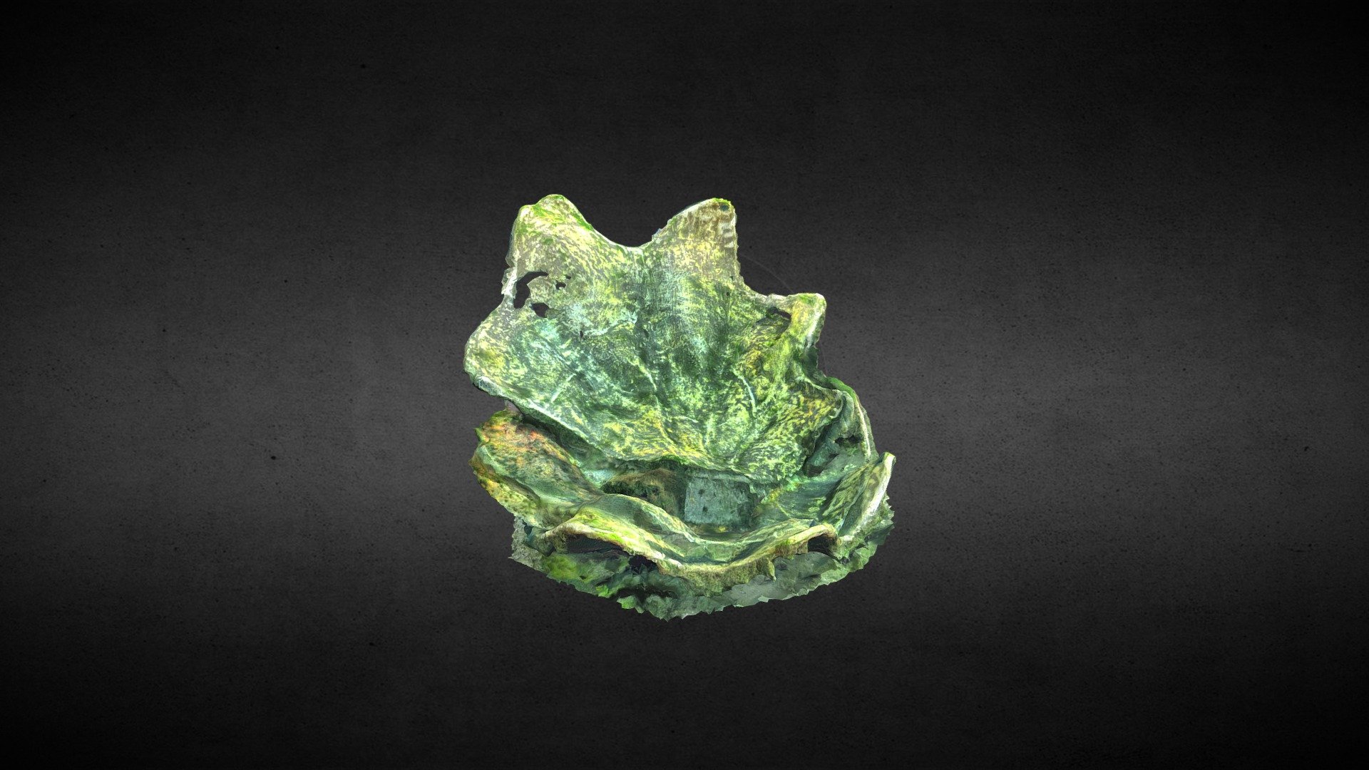 Textured_mesh_2 - 3D model by MatthewBessler [73bfa5f] - Sketchfab