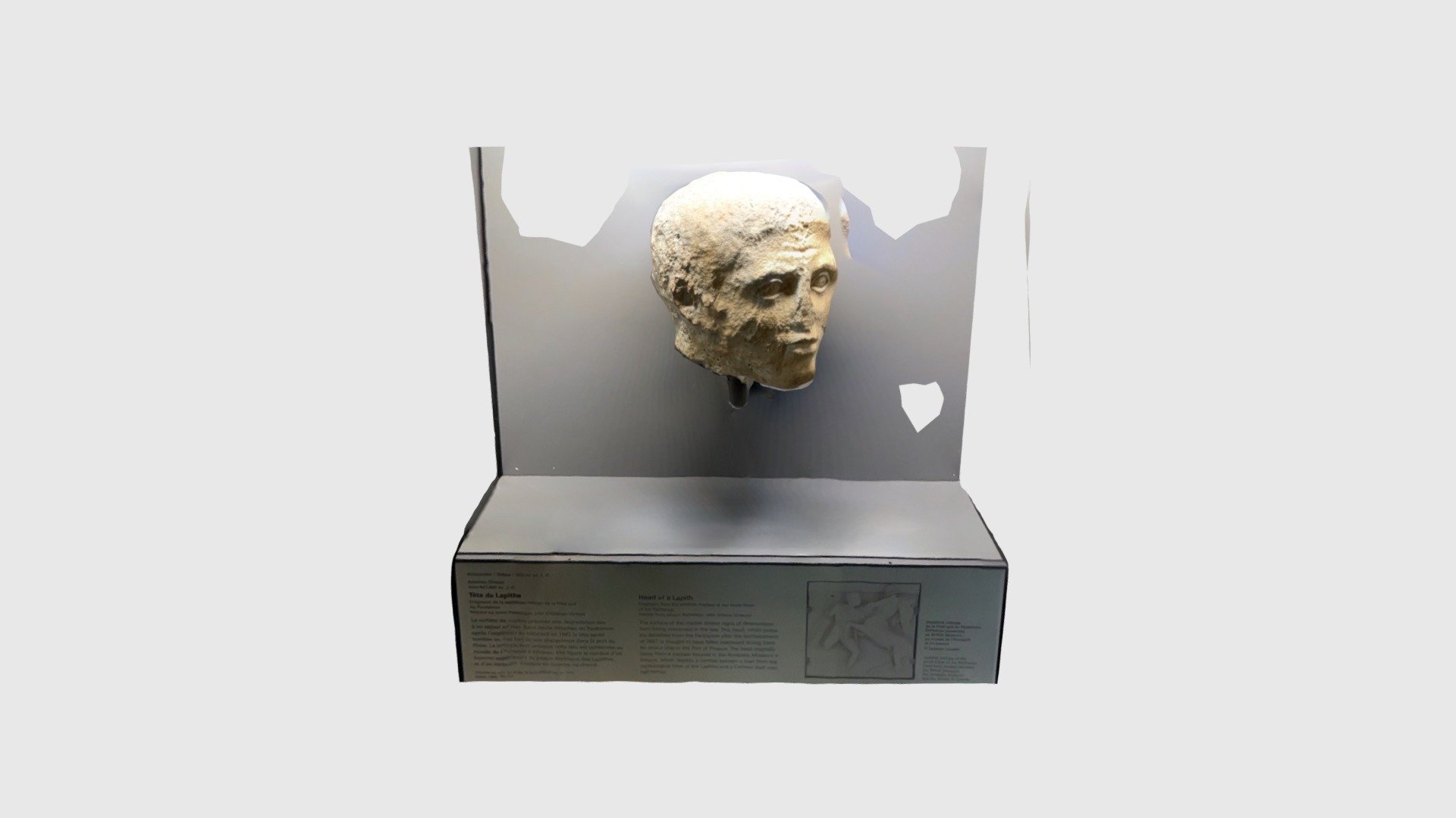 Tête de lapithe - Download Free 3D model by AnDeNan (@saladeen ...