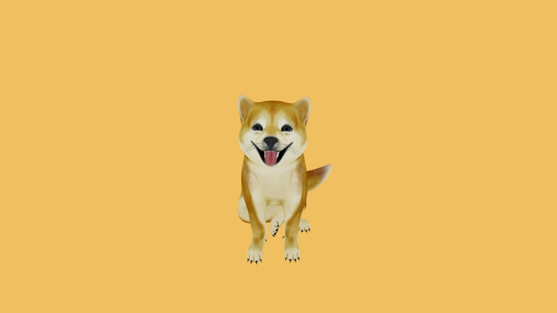 Baby Feisty Doge turning head - 3D model by Feisty Doge (@feistydoge ...