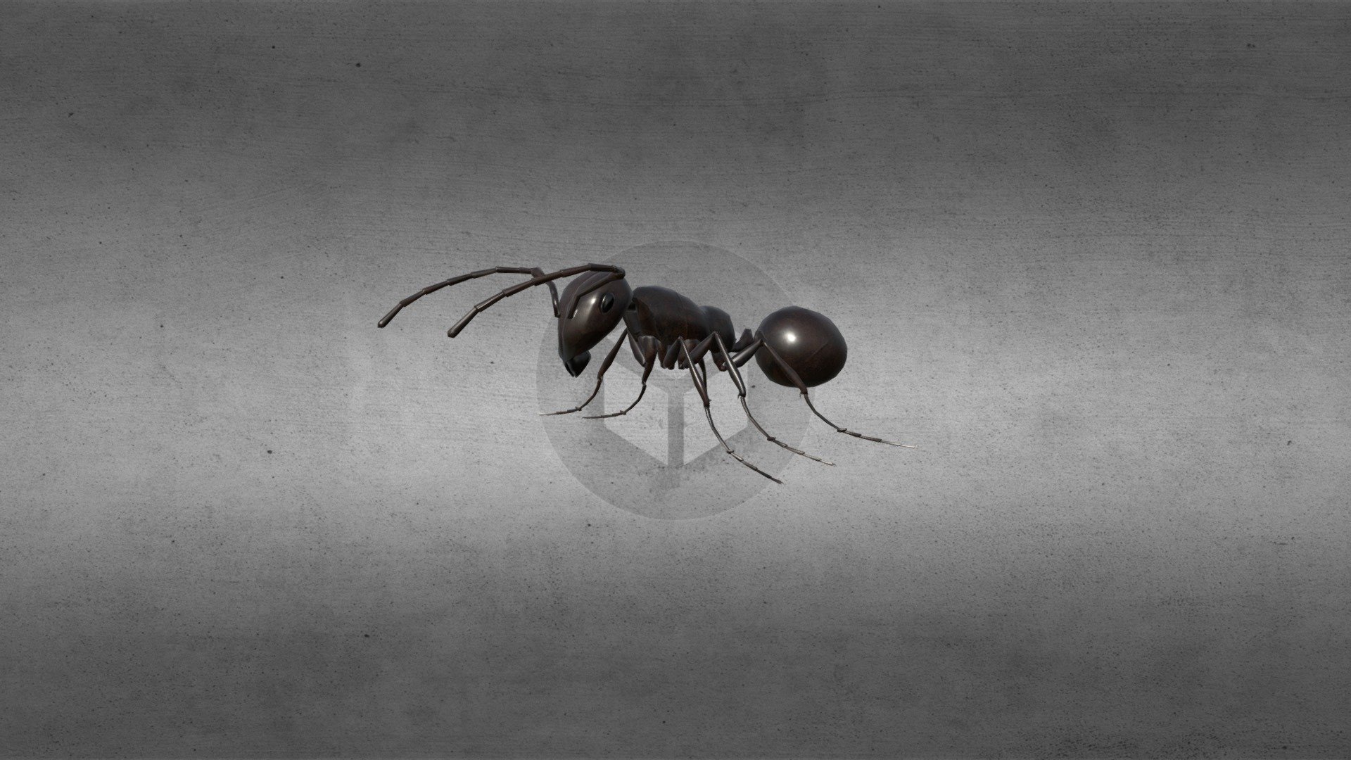 Ant Animated - 3D model by albert (@albertoimp16) [73ca4eb] - Sketchfab