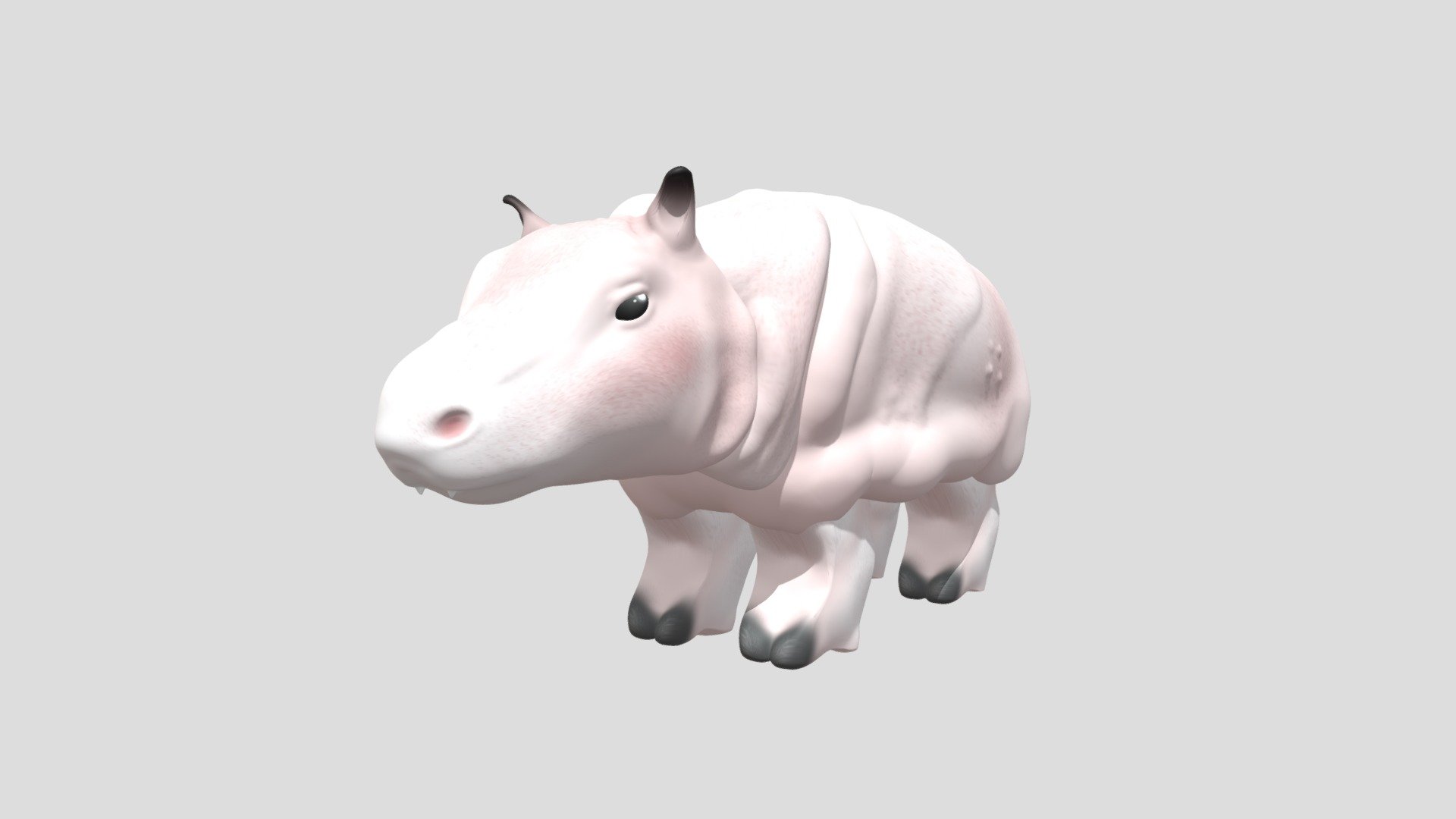 Metamynodon planifrons - Download Free 3D model by hippohipo [73d1839] - Sketchfab