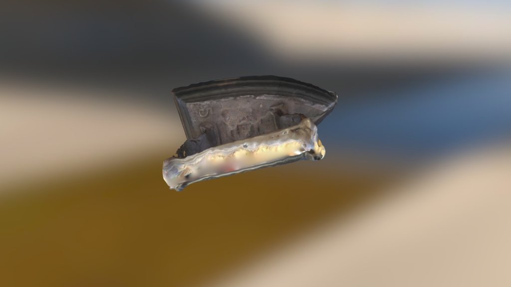 Iron - 3D model by m.rg (@mariaerrege) [73d22eb] - Sketchfab
