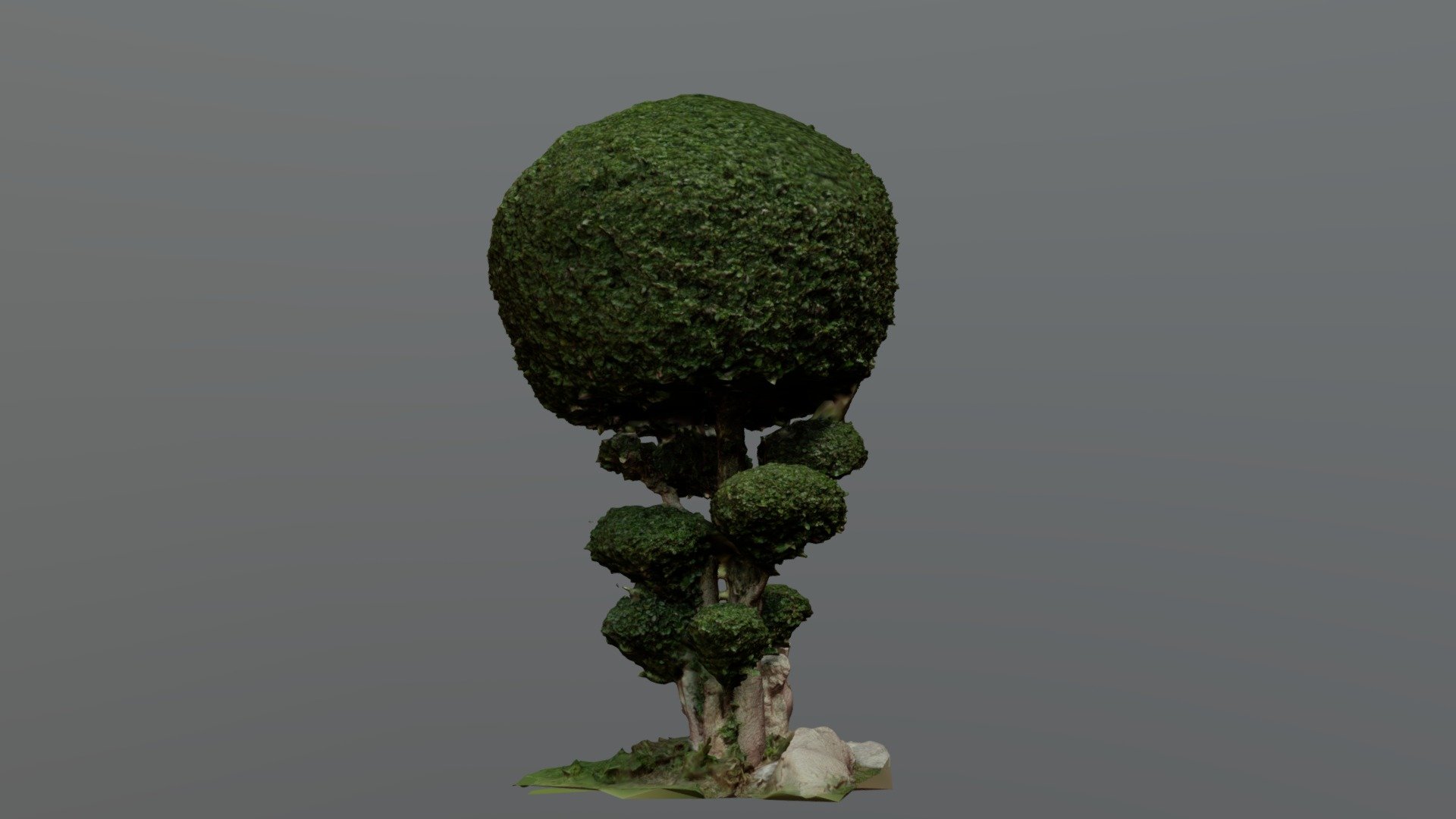 tree3 - 3D model by amornthep2512 [73df88c] - Sketchfab