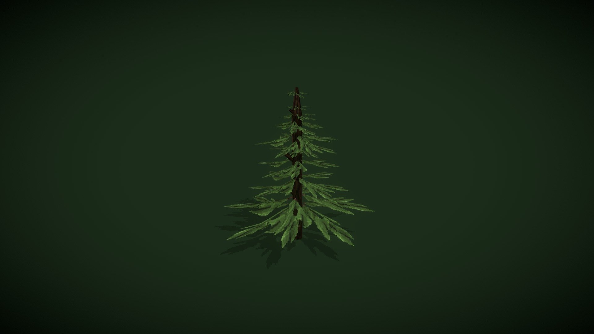 Fir Tree (coniferous) (Low Poly) - Download Free 3D model by ...