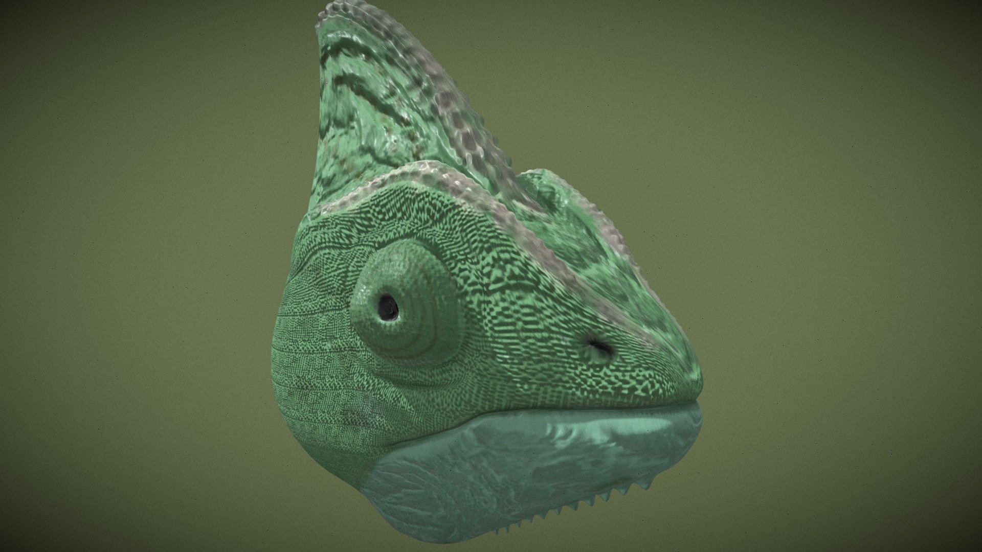 Chameleon Head Sculpt - 3D model by FoxWithABrush [73f0b5c] - Sketchfab