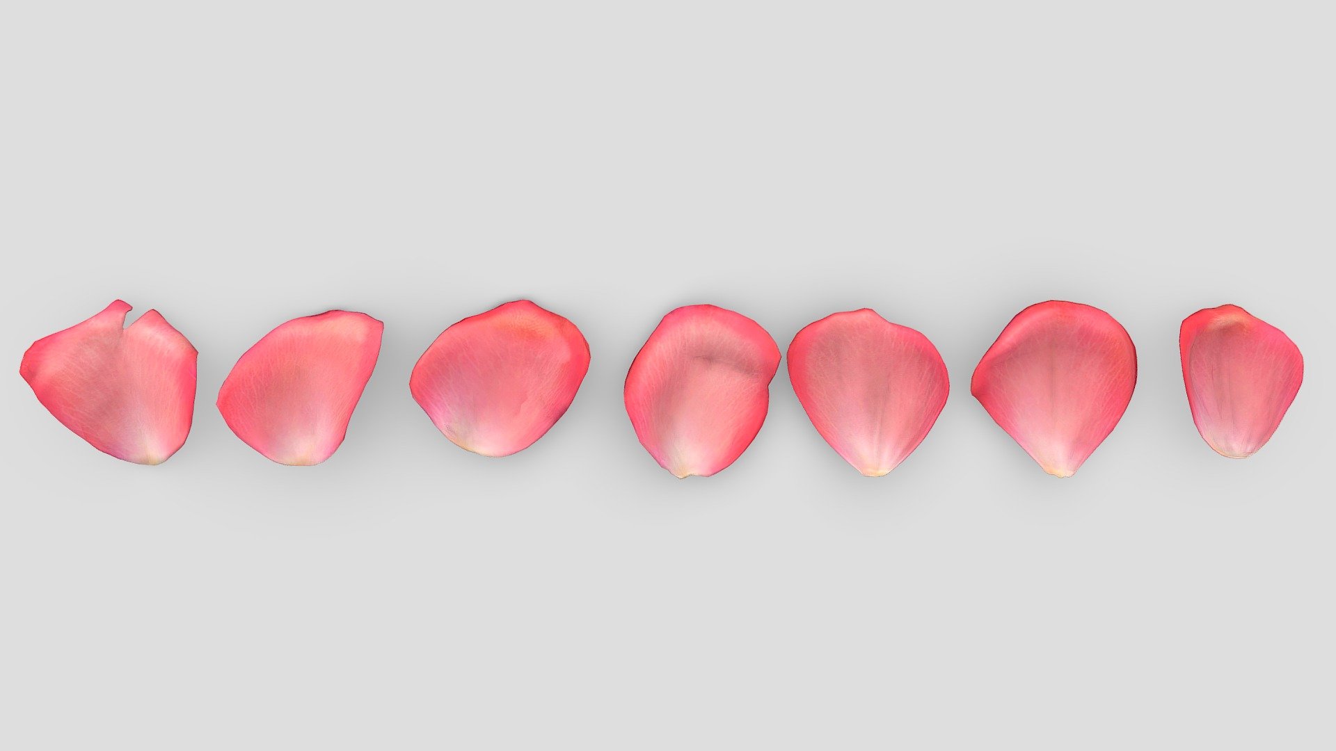 Pink Rose Petals - Buy Royalty Free 3D model by CyberFox 3D Studio ...