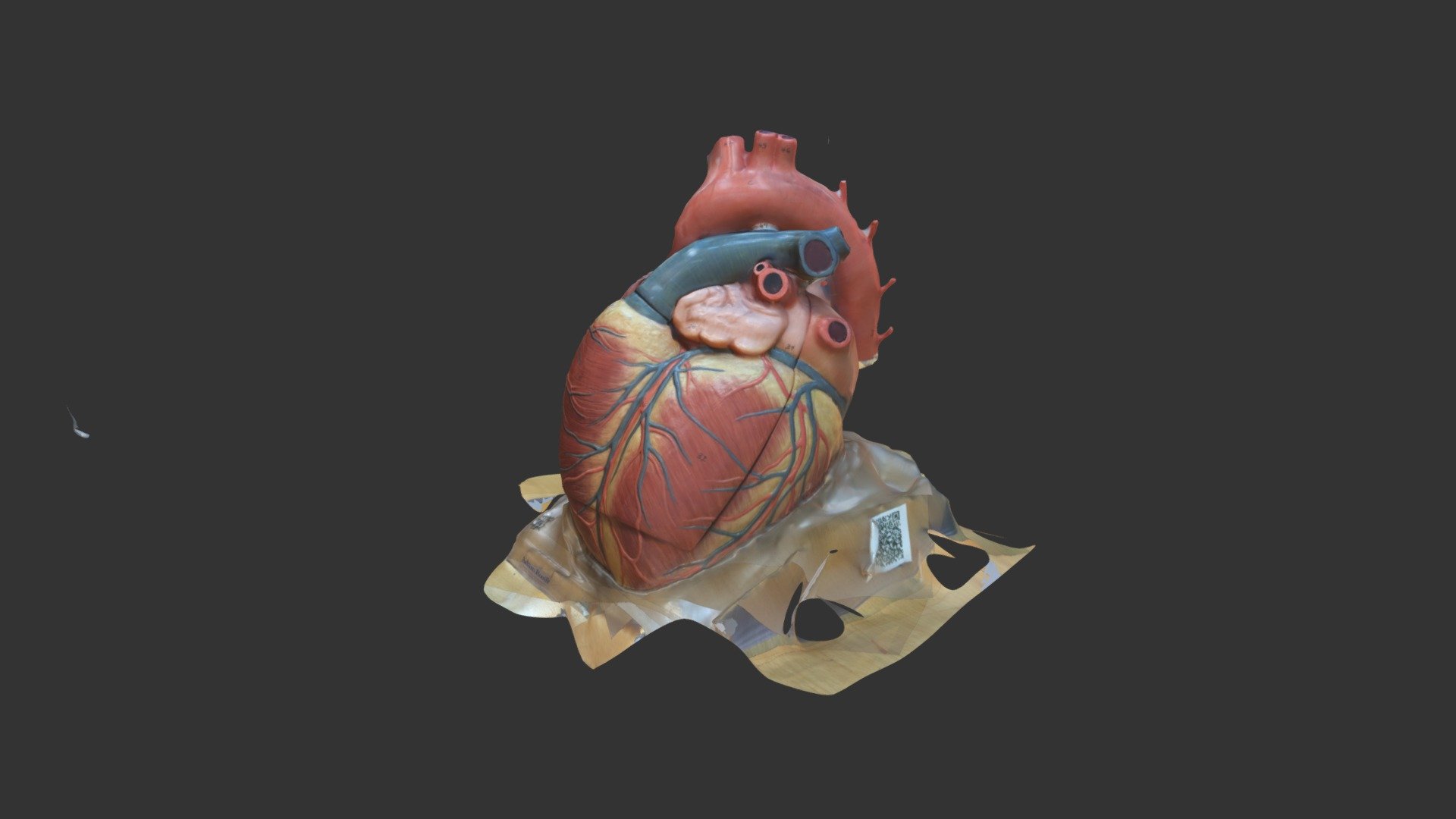 Heart Test OBJ - 3D model by James [73ff6f9] - Sketchfab