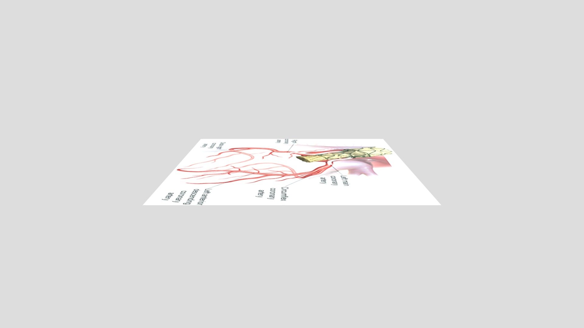 Domenico Calcaterra - 3D model by Peter Coleman (@domenicocalcaterra ...