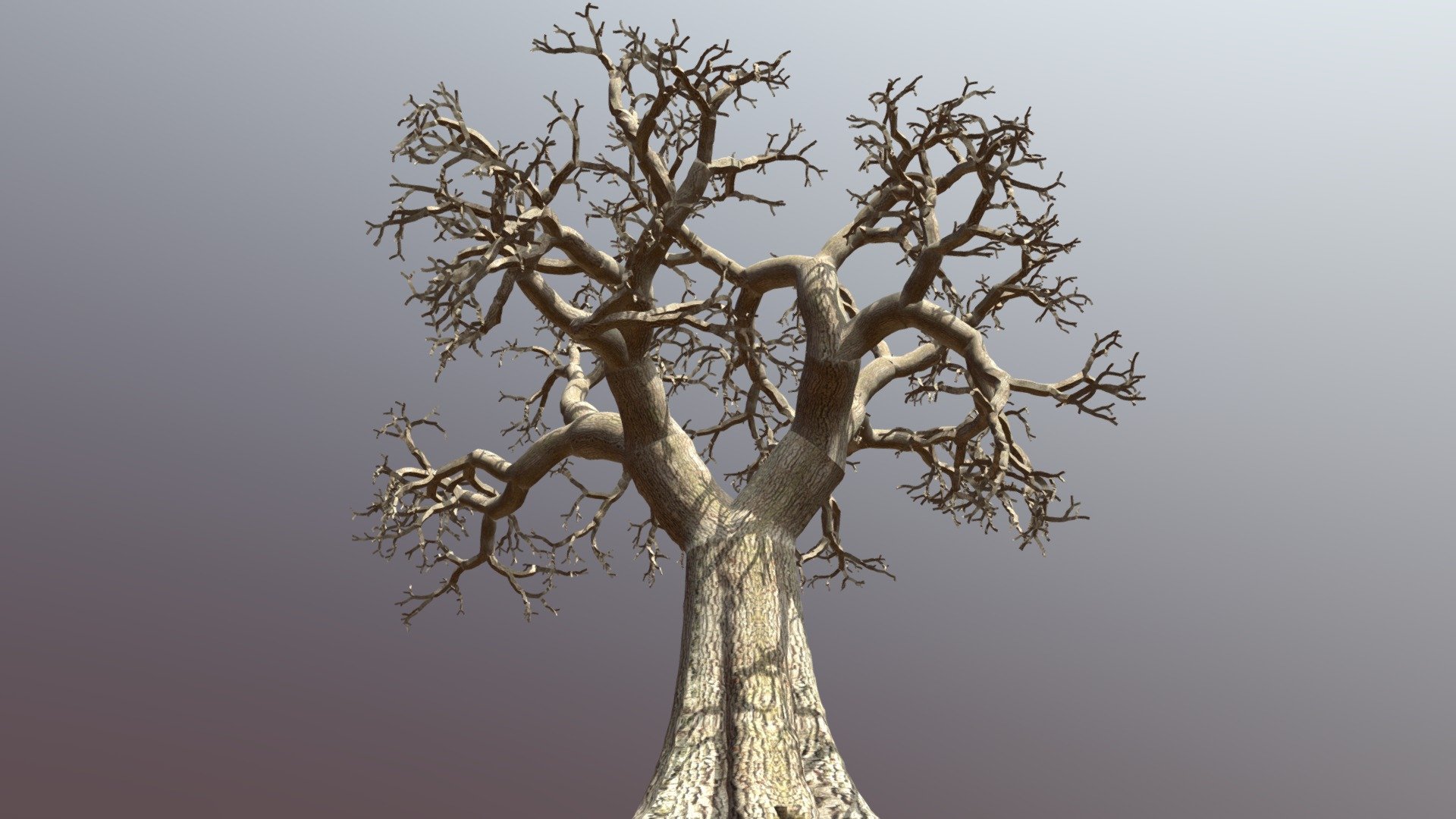 Old Oak without Leaves (high-poly) - Download Free 3D model by Sereib ...