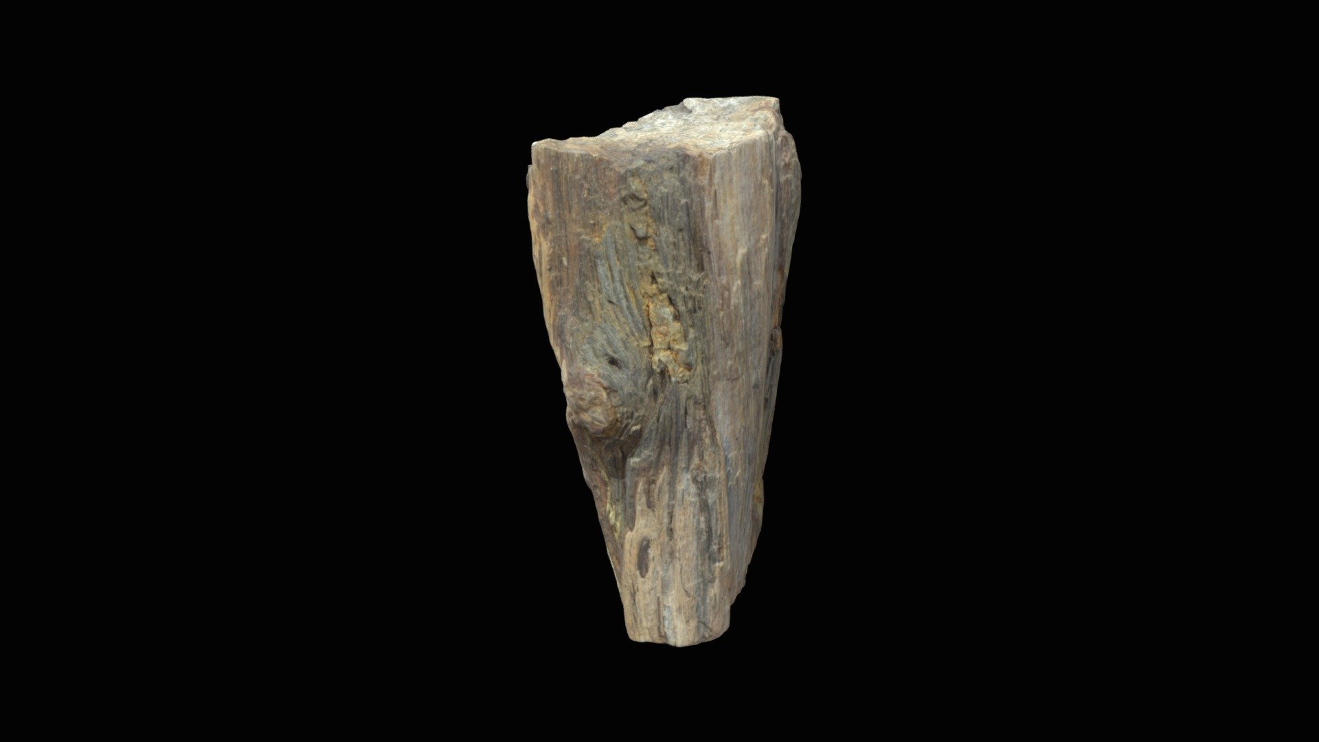 Petrified wood - Download Free 3D model by Lapis Design (@LapisDesign ...