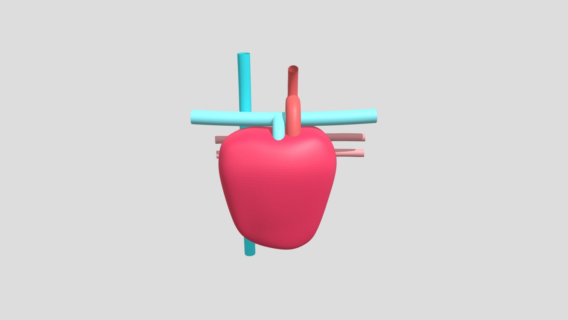 Heart - 3D model by y.f_4213307 [740e2da] - Sketchfab