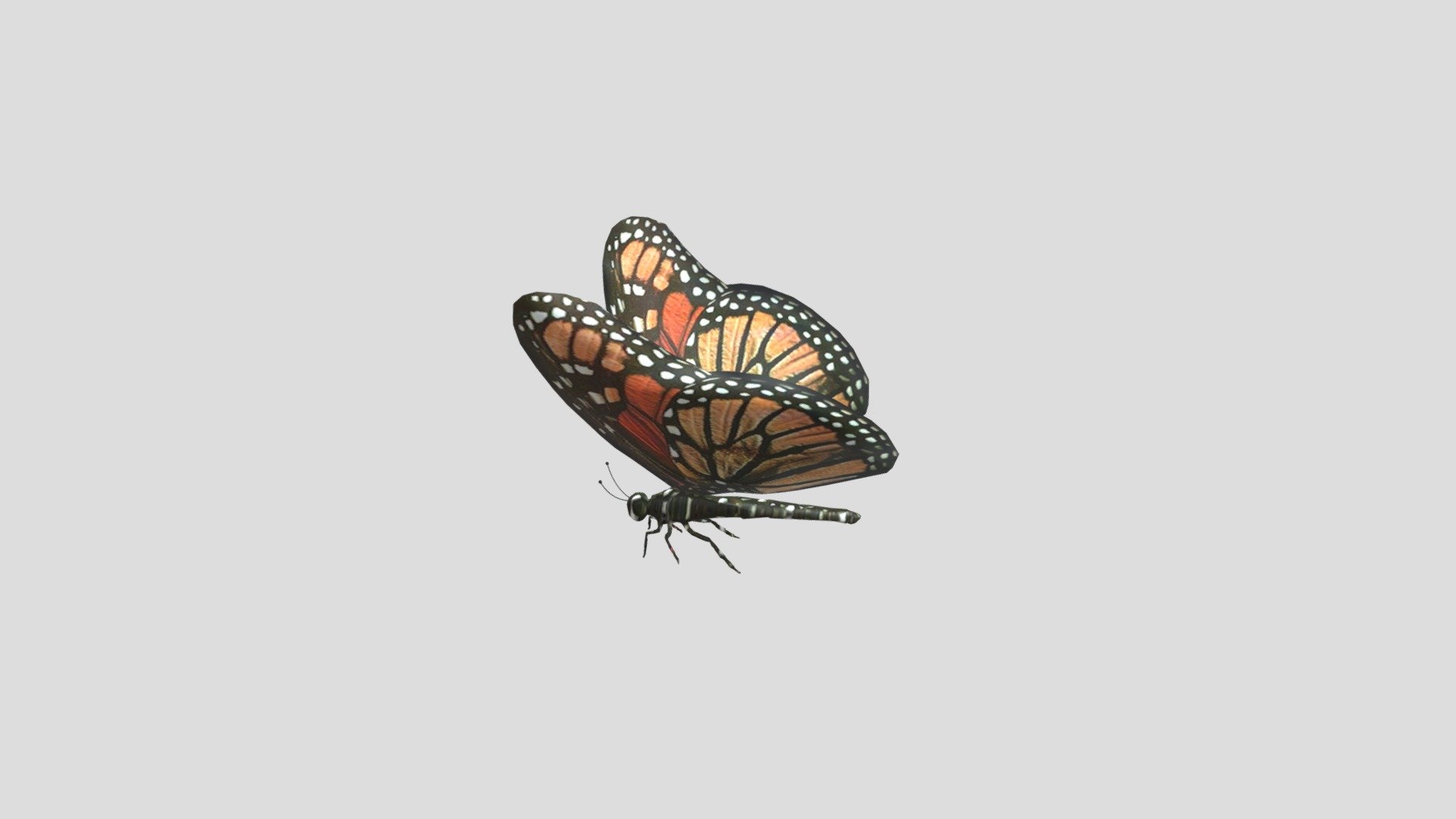 Butterfly Animation - 3D model by SGRI_3dv [7410228] - Sketchfab