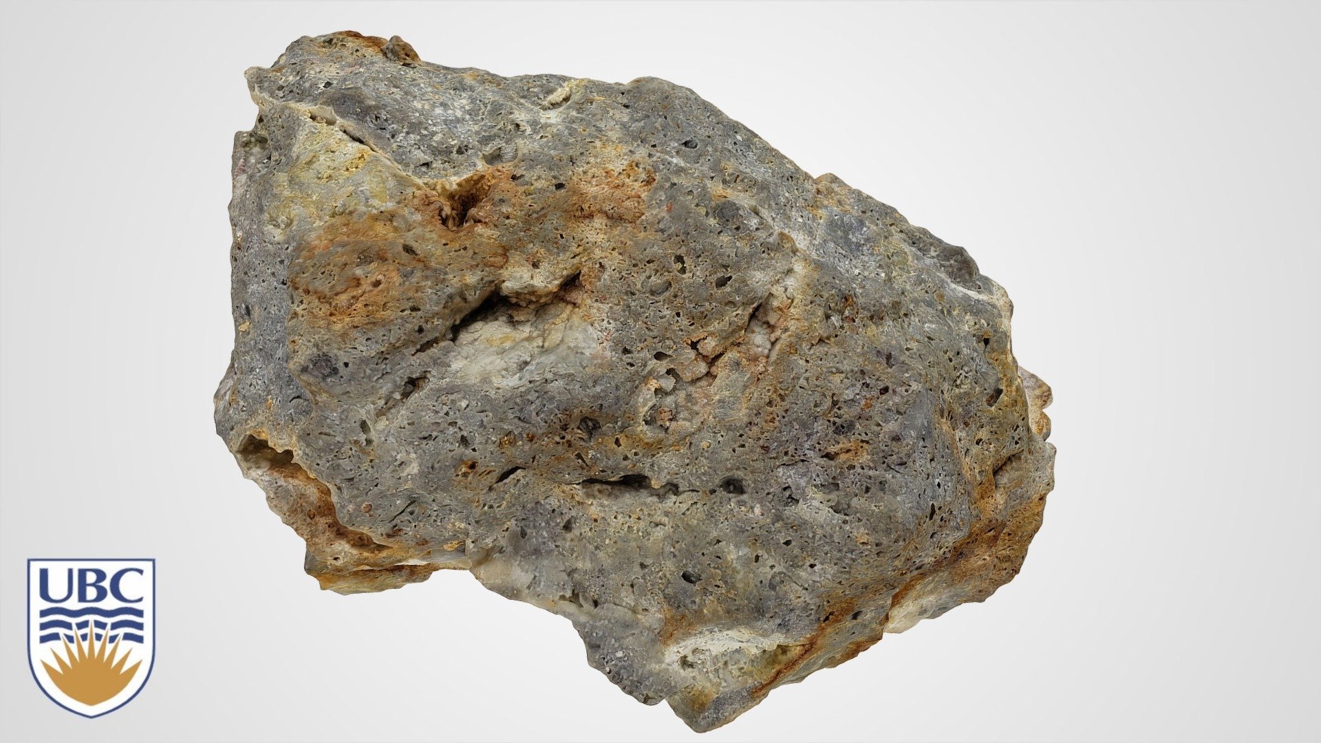 Canto Sur (Au-bearing vuggy quartz) - 3D model by Nichole Moerhuis (UBC ...