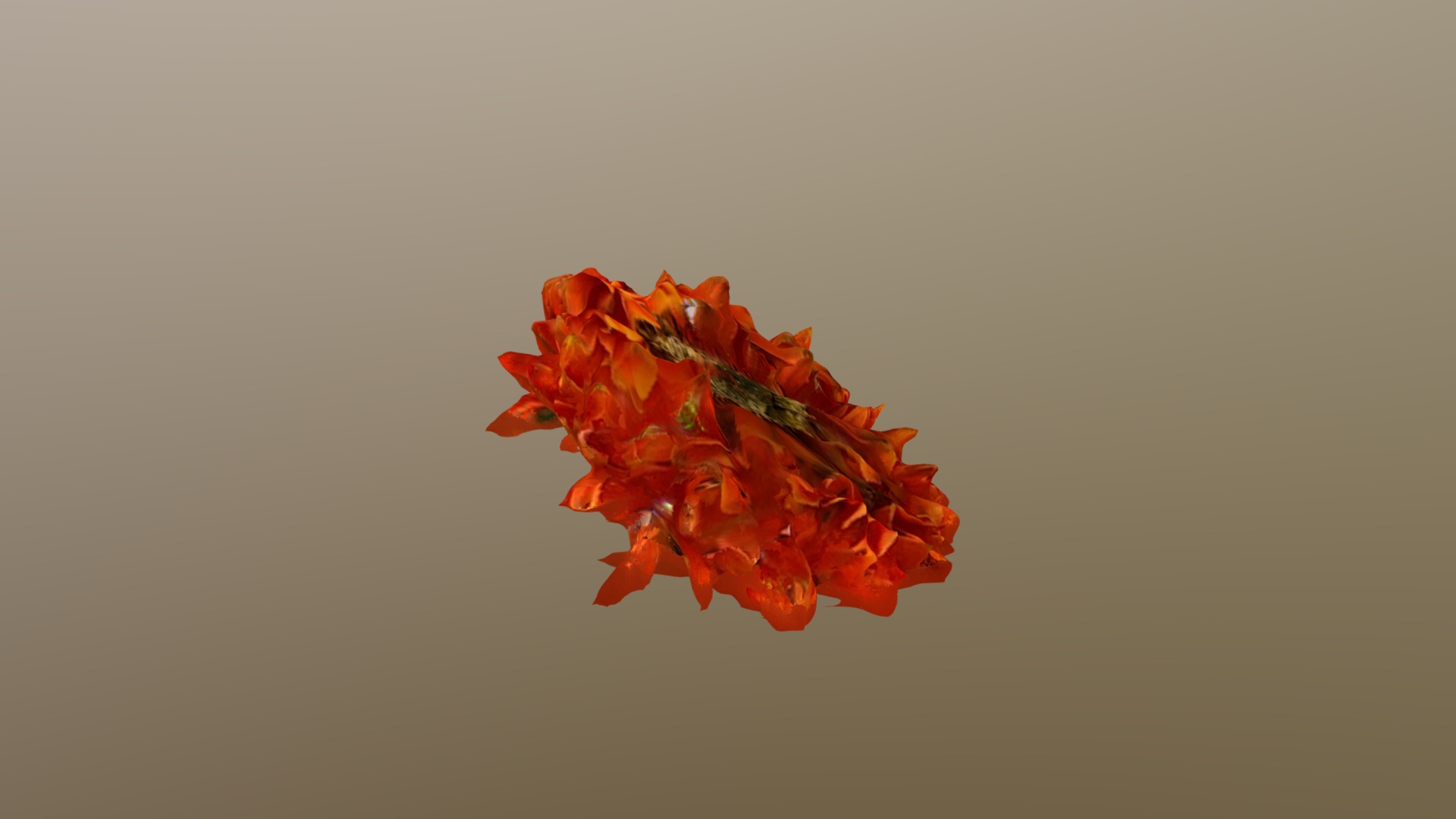 Gerbera - Download Free 3D model by cgregor3556 [7413d57] - Sketchfab