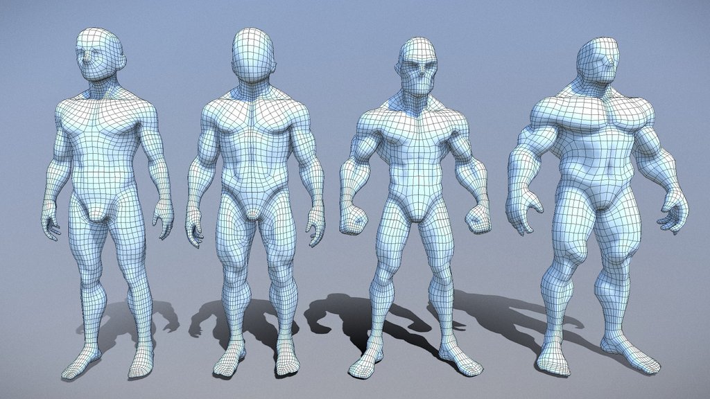 Anatomy - A 3D model collection by Moisés Moreno (@MoisesMoreno ...