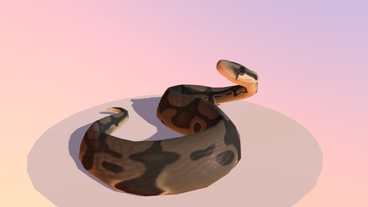 Ballpython 3D models - Sketchfab
