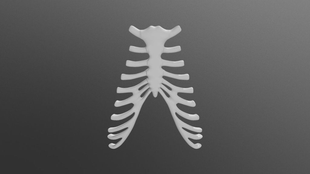 Sternum Final - 3D model by Aaronv0811 (@tacosalad46) [741f258] - Sketchfab