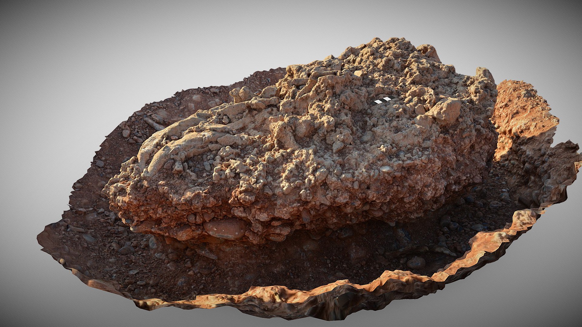 Diprotodon skull - 3D model by UQ School of the Environment (@UQ_SEES ...