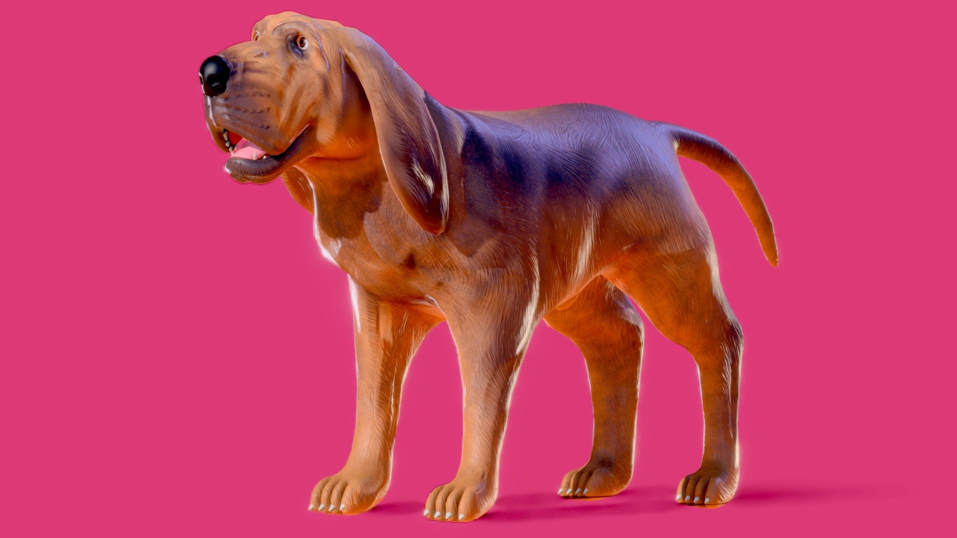 Low poly - Stylized dog - Bloodhound - Buy Royalty Free 3D model by ...