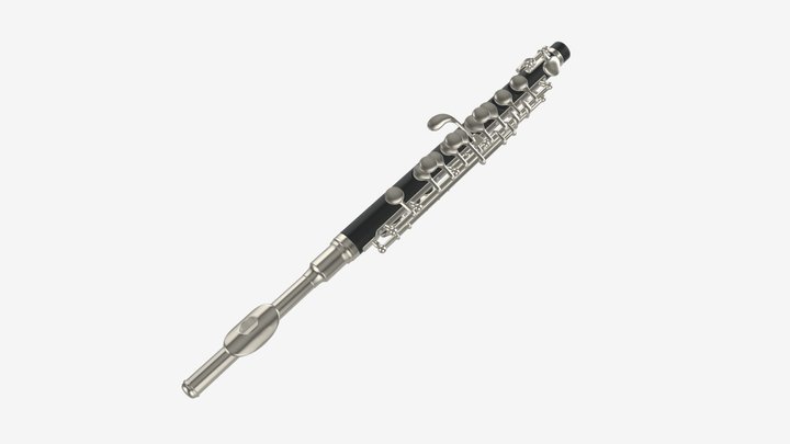Flute 3D models - Sketchfab
