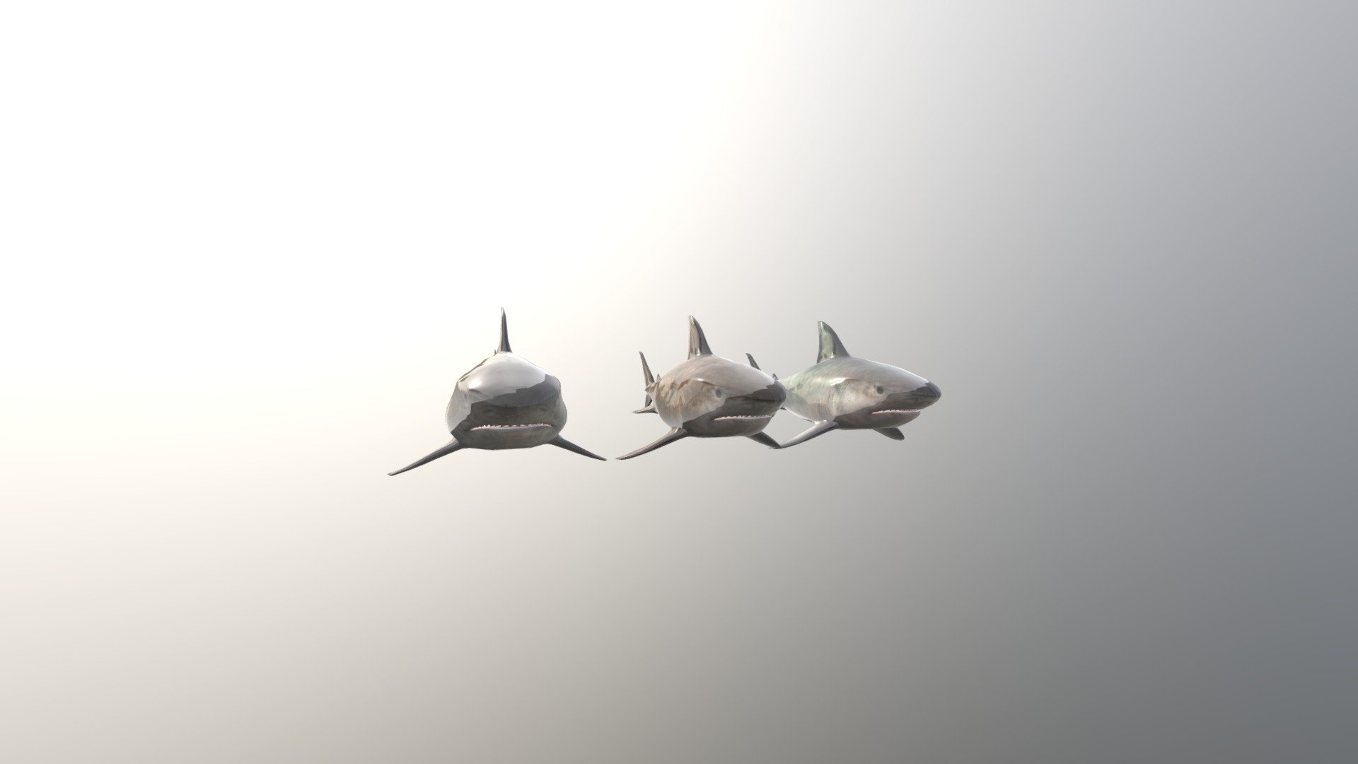Tiger Sharks gta v textured - 3D model by Lubs [brazilian] (@luciano234 ...