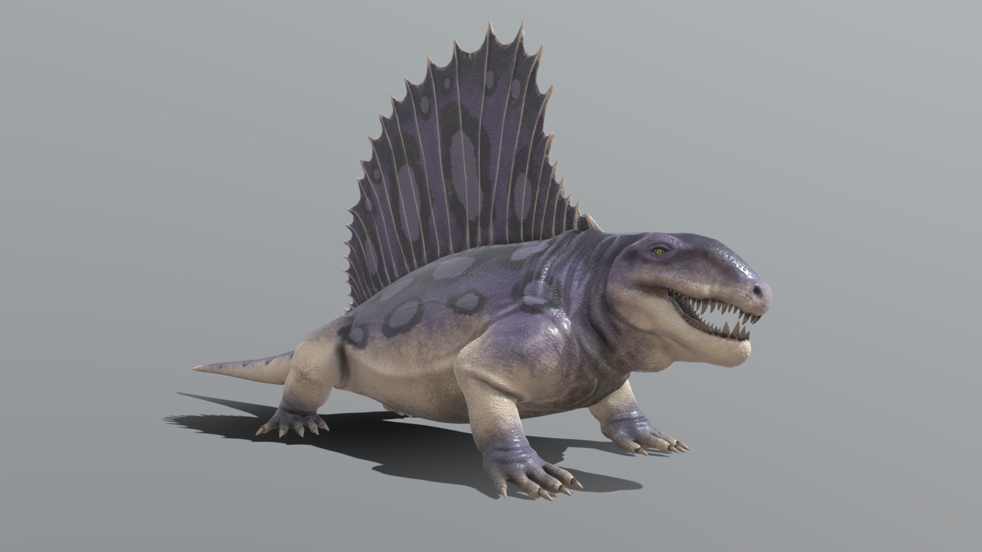 Dimetrodon - 3D model by jackstalker [74293ee] - Sketchfab
