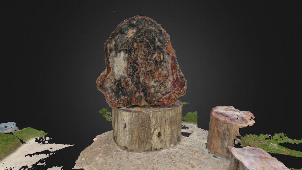 Petrified Logs - Download Free 3D model by Ron Schott (@haysrockdoc ...