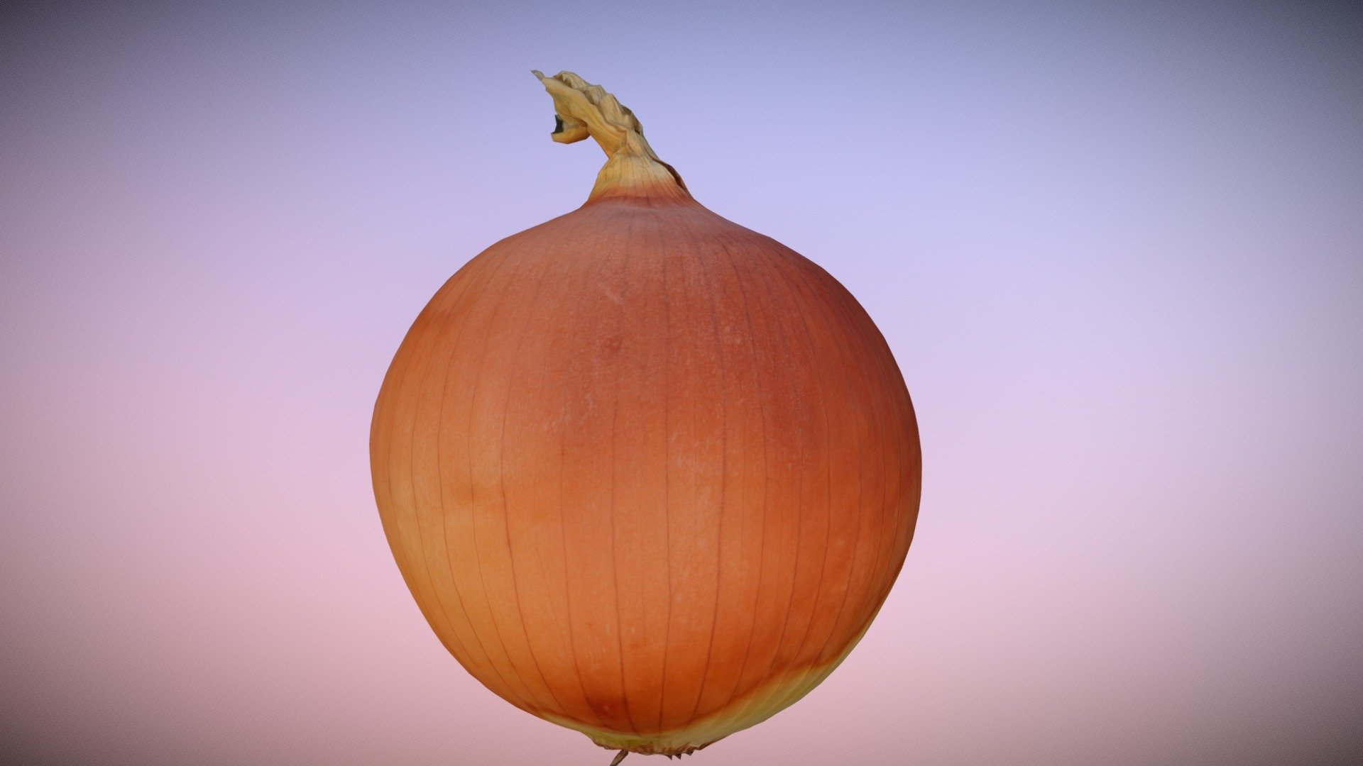 Onion - 3D model by chrispewebb [744a2eb] - Sketchfab