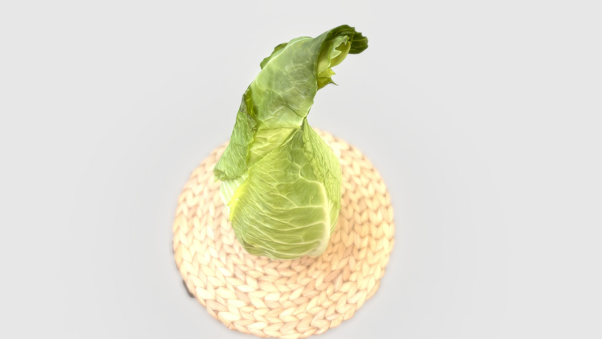 Pointed cabbage, Filderkraut, Spitzkohl - 3D model by Zoltanfood ...