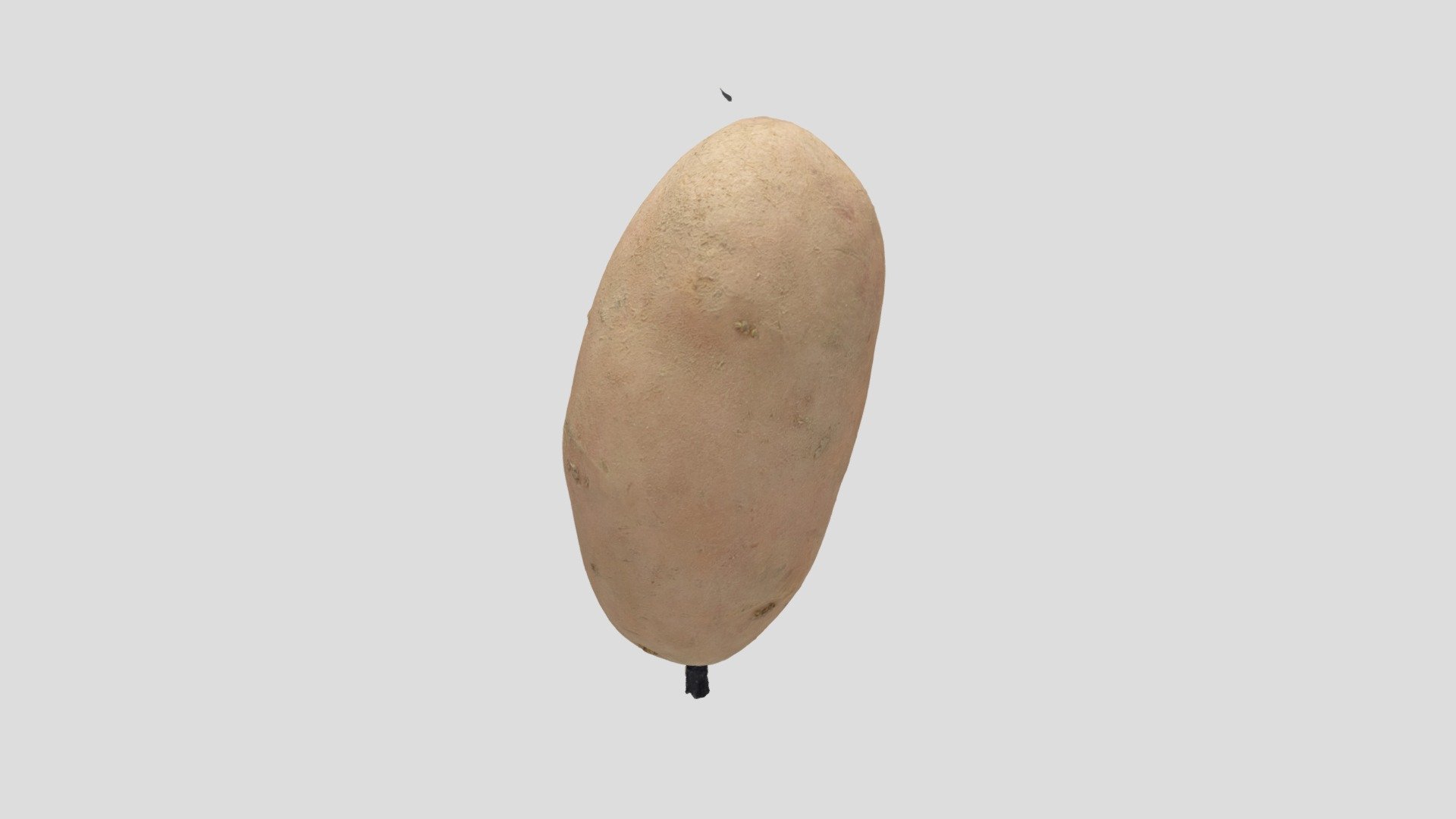 Potato - Download Free 3D model by saulatepicgames [744f9b2] - Sketchfab