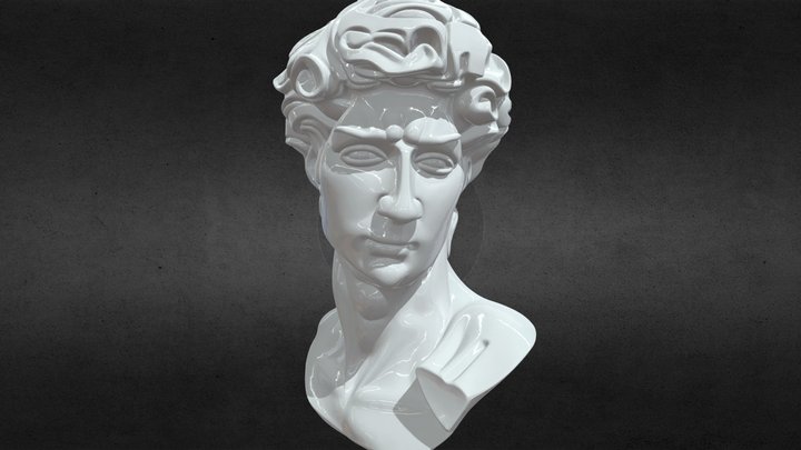 Michelangelo-david 3D models - Sketchfab