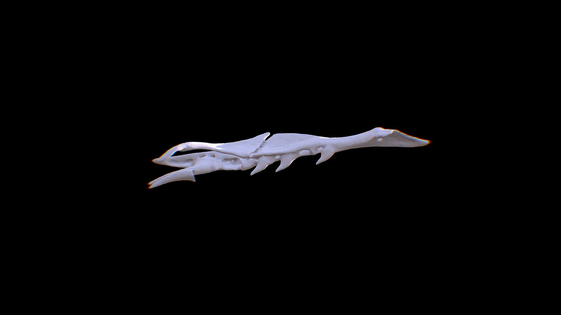 SNAKE SKULL:LEFT MAXILLA+LEFT ECTOPTERYGOID - Download Free 3D model by ...