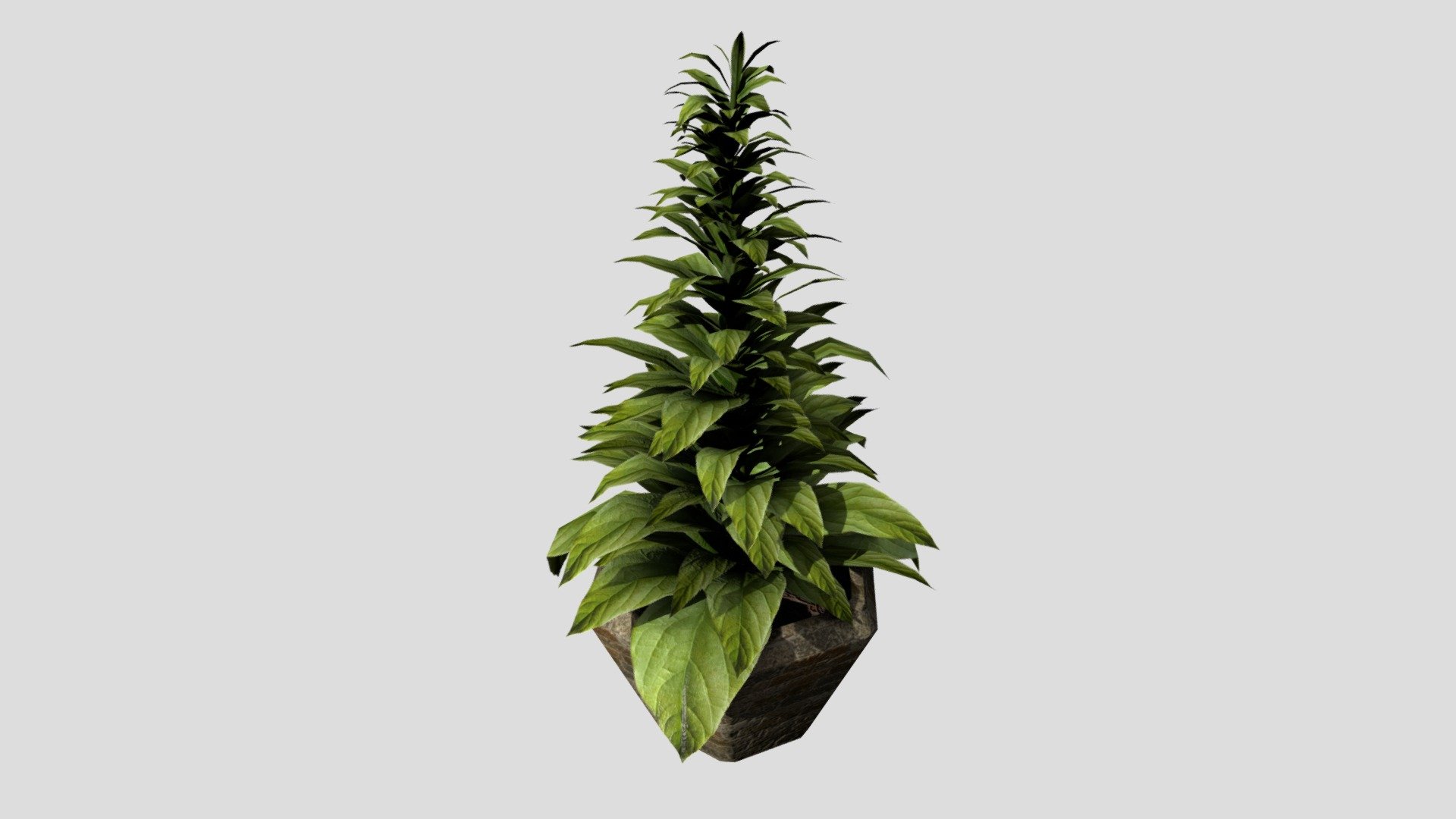 Plant Game Asset - 3D model by Jaden M. Z. (@jamizo) [74639c4] - Sketchfab